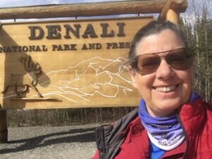 A Day Trip to Denali National Park - The Hiking Traveler