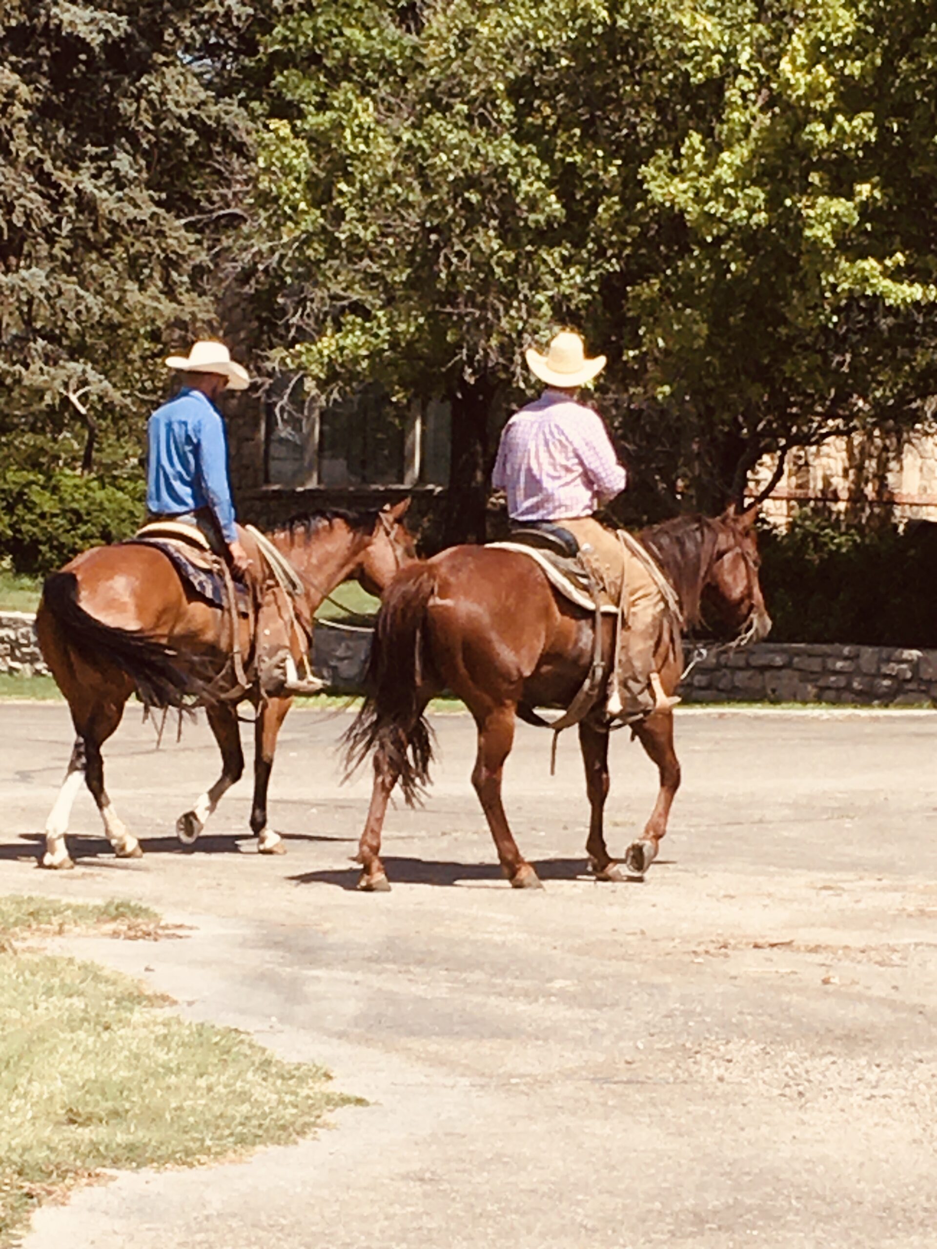 Daily-ish Blog 2022 - The Hiking Traveler